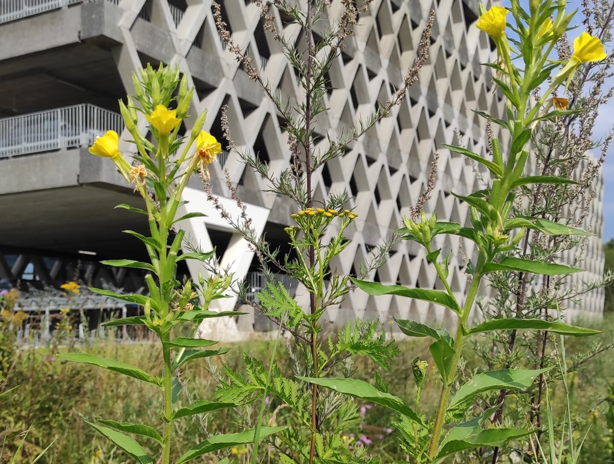 VITO pleit voor doortastend klimaatbeleid voor een betaalbare energiefactuur - Ode